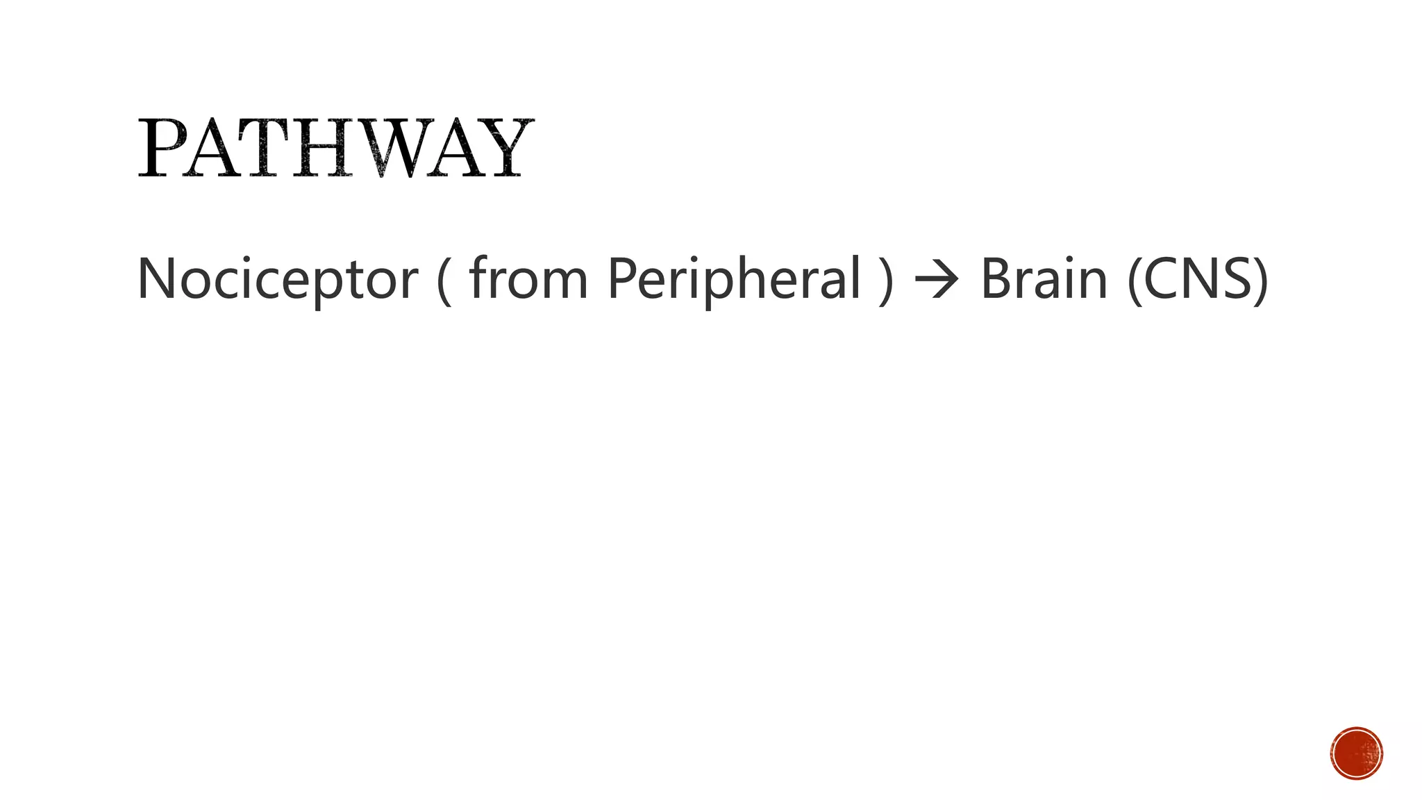 Physiology of Pain – Somatic, Visceral and referred reflexes | PPTX