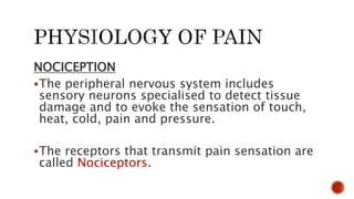 Physiology of Pain – Somatic, Visceral and referred reflexes | PPTX
