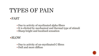 Physiology of Pain – Somatic, Visceral and referred reflexes | PPTX