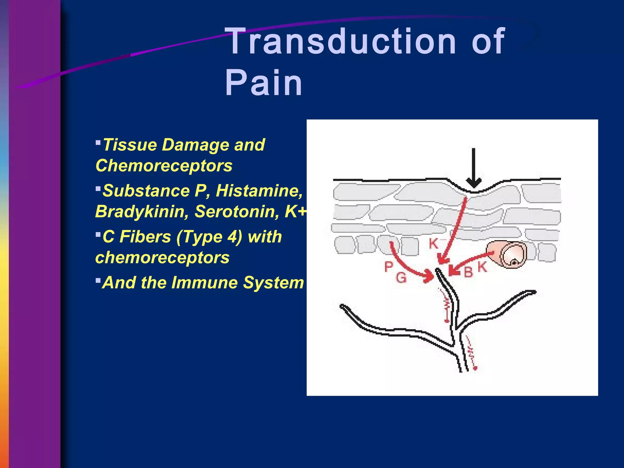 Pain | PPT