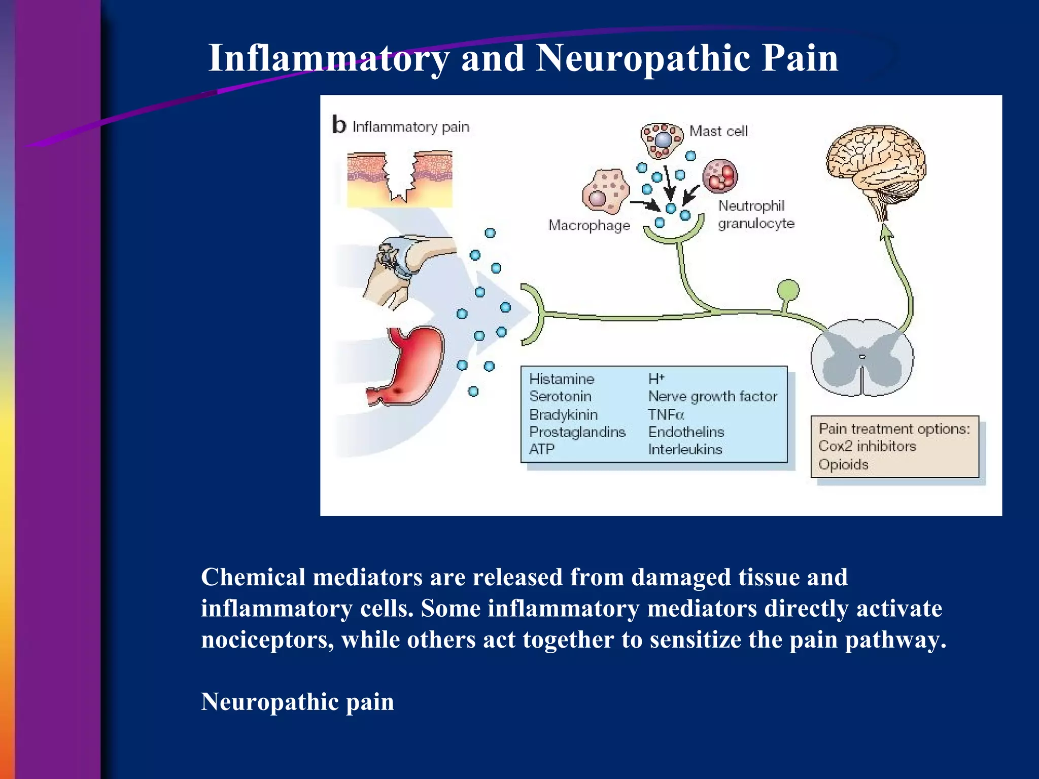 Pain | PPT