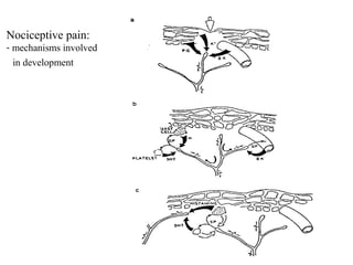Pain | PPT