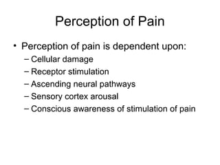 Pain | PPT