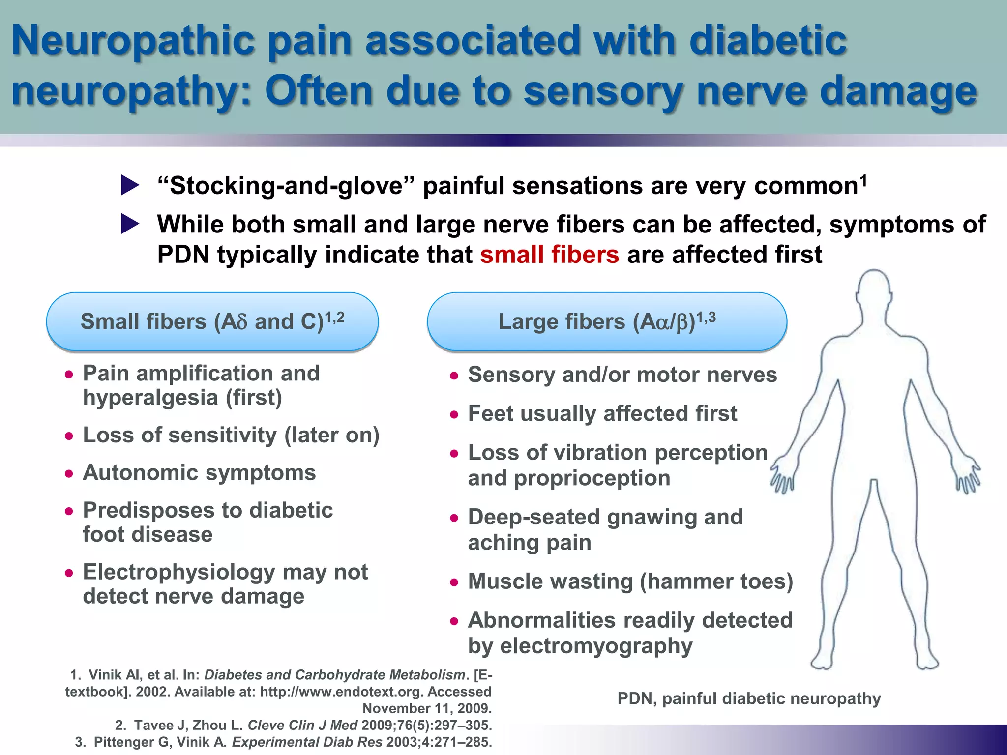 Painful diabetic peripheral neuropathy: diagnosis and management | PPTX