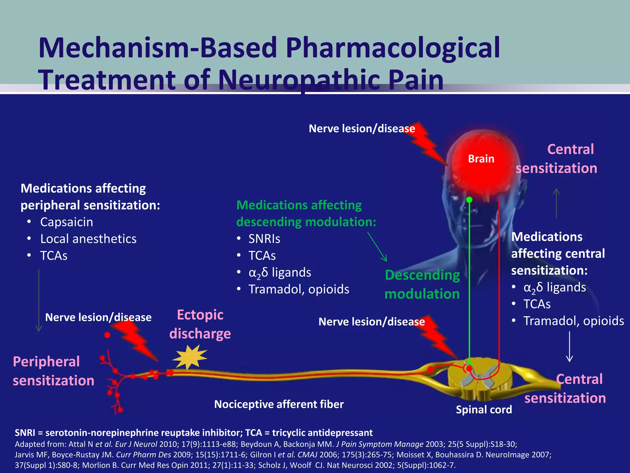Painful diabetic peripheral neuropathy: diagnosis and management | PPTX