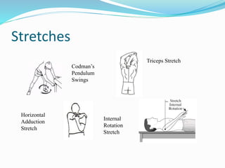 Painful shoulder arc | PPTX