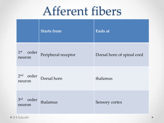 Pain gait theory | PDF
