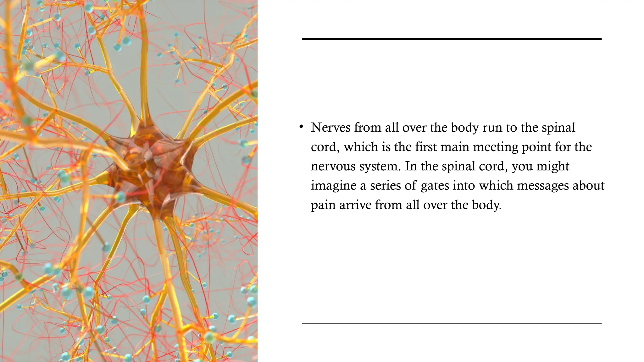 pain gait theory.pptx electrotherapy in physical therapy | PPTX