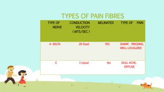pain gate.pdf