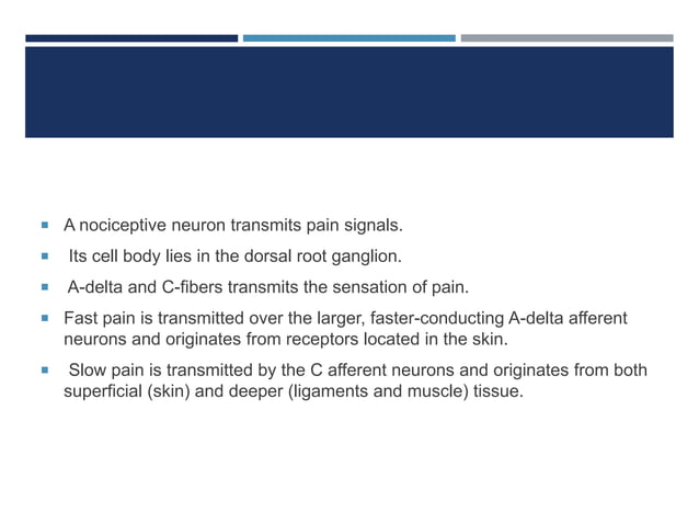 Pain gate theory | PPTX