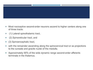 Pain gate theory | PPTX