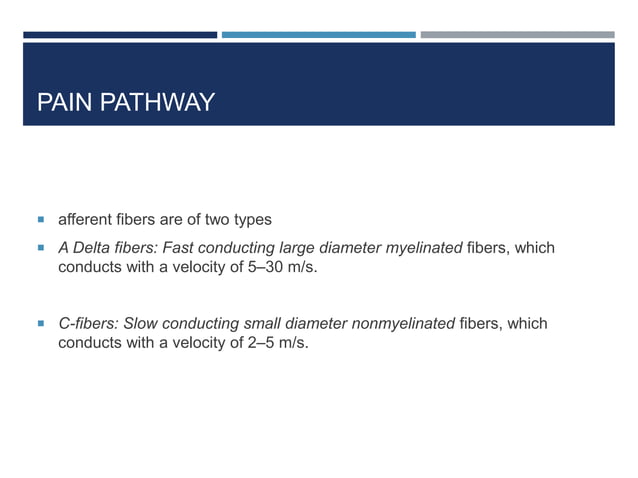 Pain gate theory | PPTX