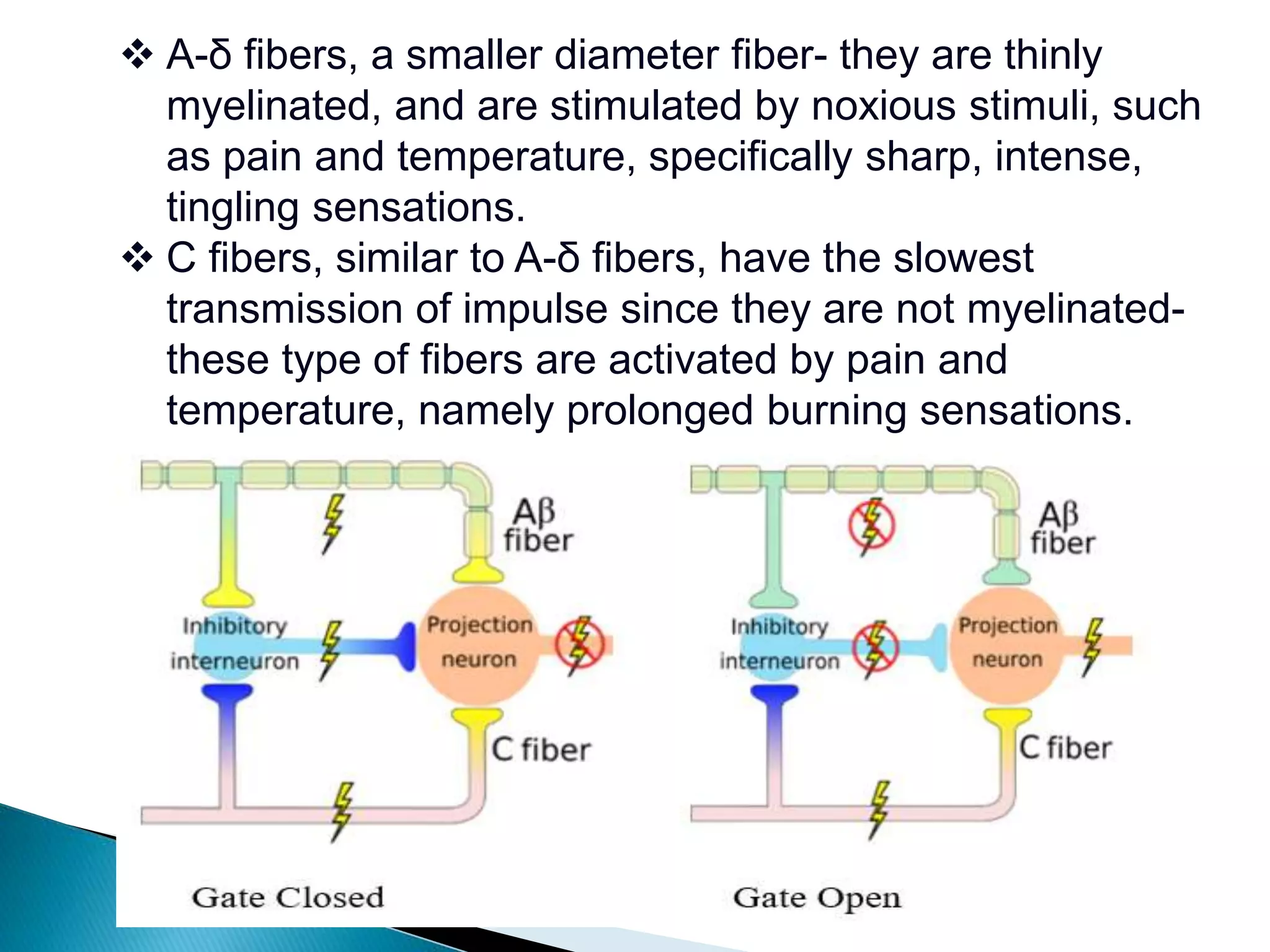 Pain Gate theory.pptx