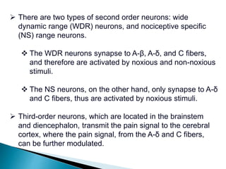 Pain Gate theory.pptx