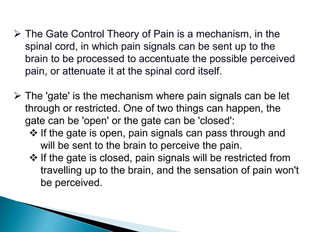 Pain Gate theory.pptx | Brain and Nervous System Disorders | Diseases ...