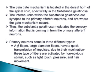 Pain Gate theory.pptx