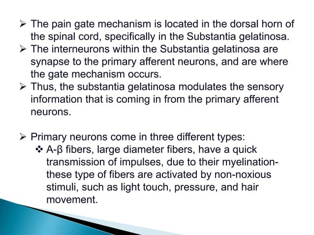 Pain Gate theory.pptx | Brain and Nervous System Disorders | Diseases ...