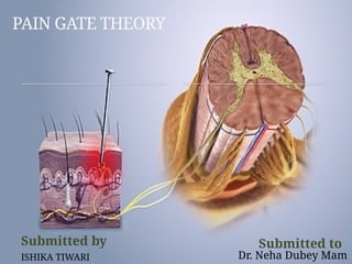 Detailed Explanation of Pain Gate Theory.pptx