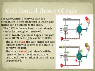 Detailed Explanation of Pain Gate Theory.pptx