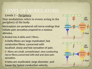Detailed Explanation of Pain Gate Theory.pptx
