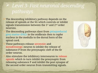 Detailed Explanation of Pain Gate Theory.pptx