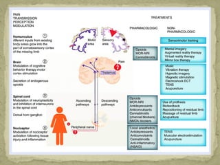 Detailed Explanation of Pain Gate Theory.pptx