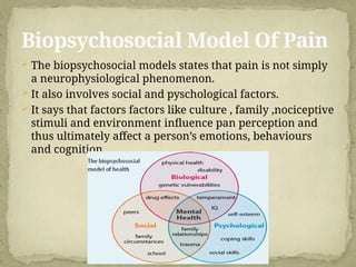 Detailed Explanation of Pain Gate Theory.pptx