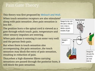 Detailed Explanation of Pain Gate Theory.pptx