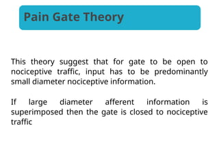 Pain gate theory.pptxxxxxxxxxxxzzzzzzzzz | PPTX