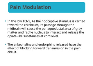 Pain gate theory.pptxxxxxxxxxxxzzzzzzzzz | PPTX