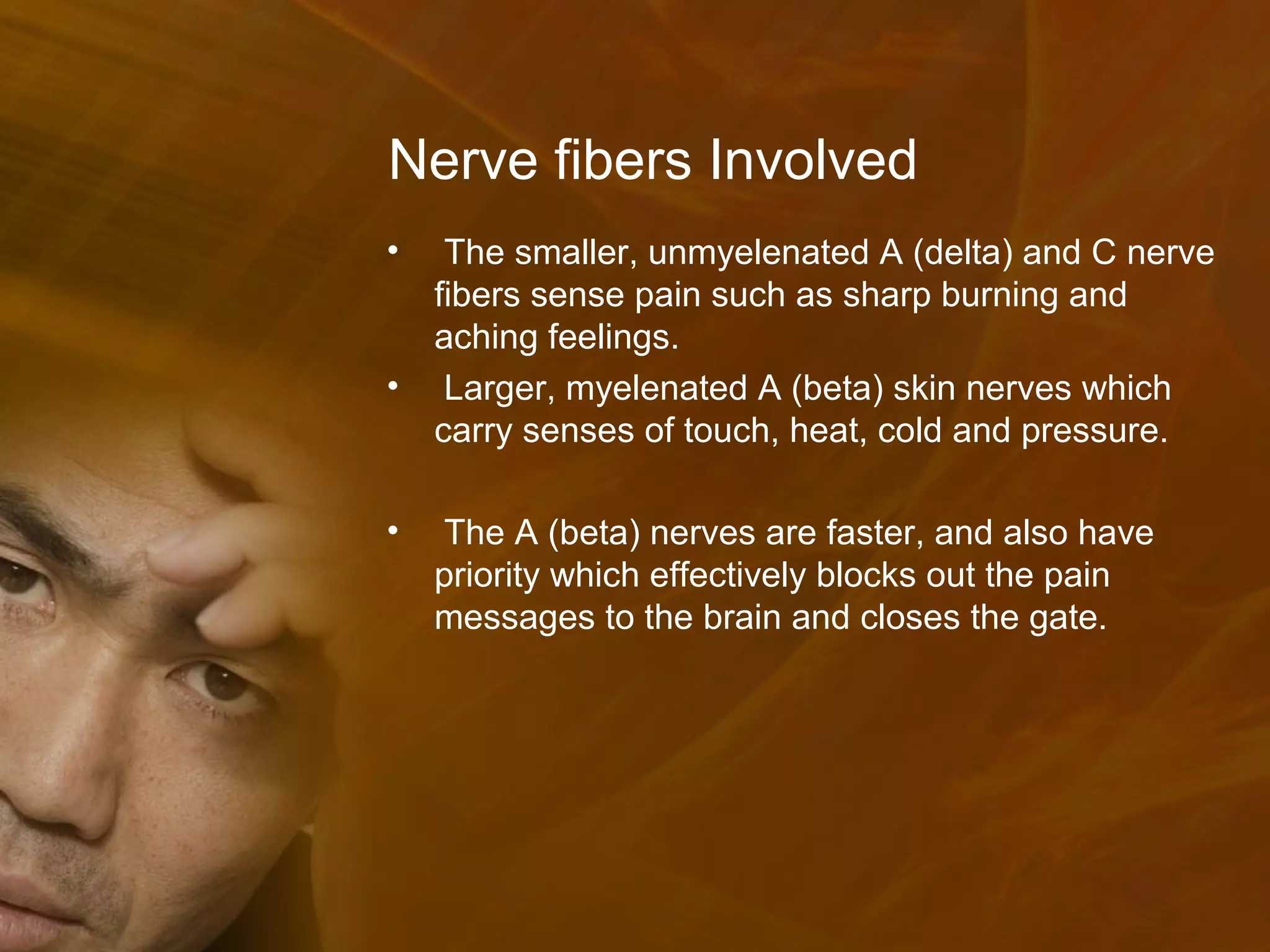 Pain gate theory | PPT