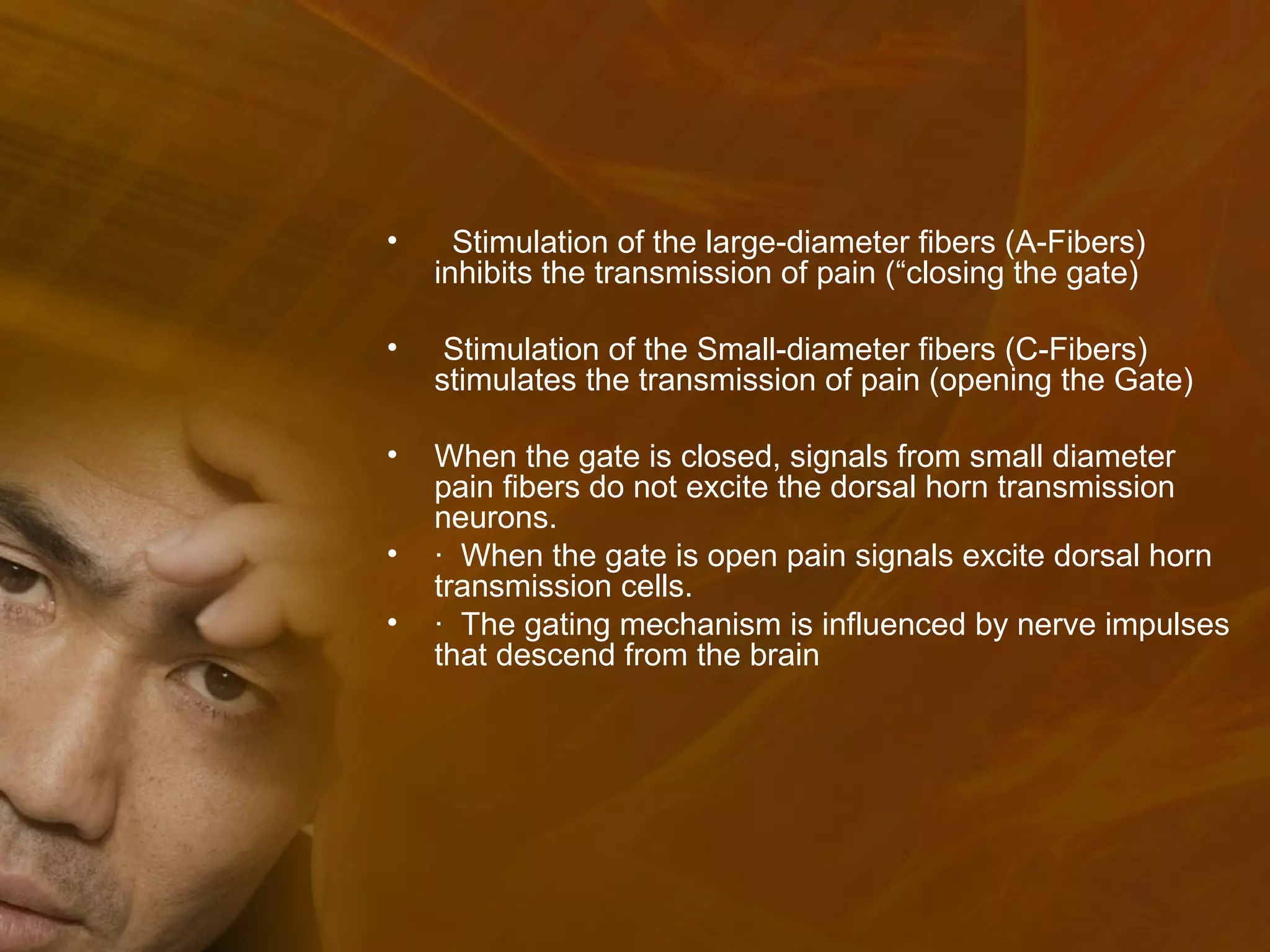 Pain gate theory | PPT
