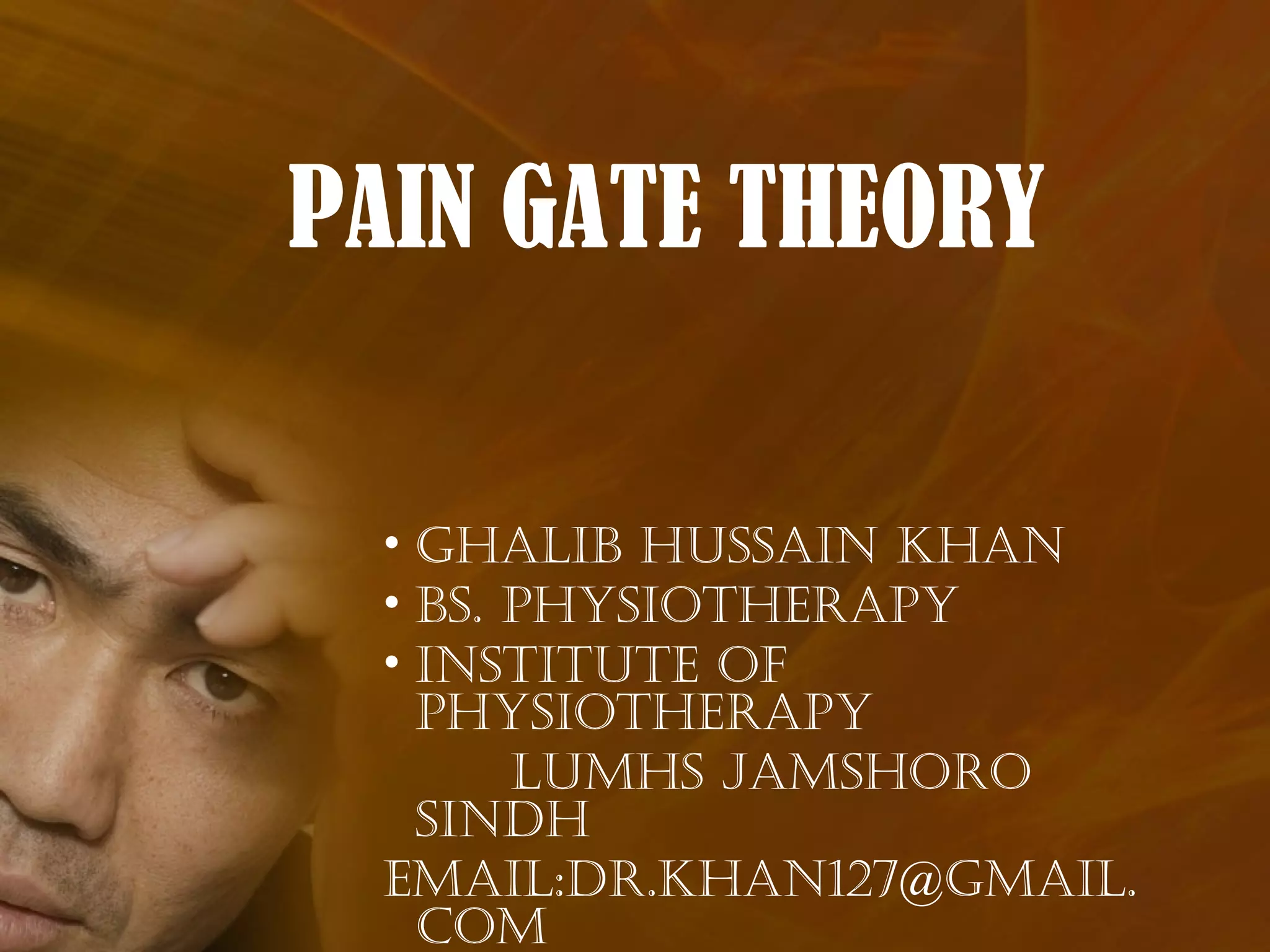 Pain gate theory | PPT