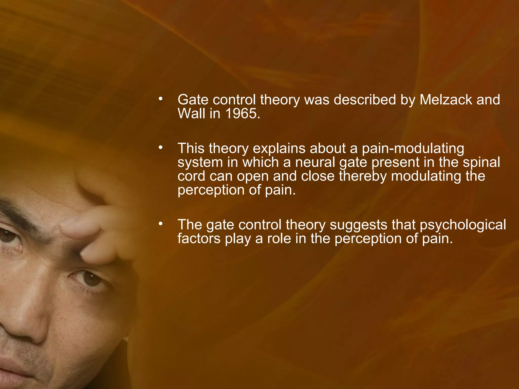 Pain gate theory | PPT