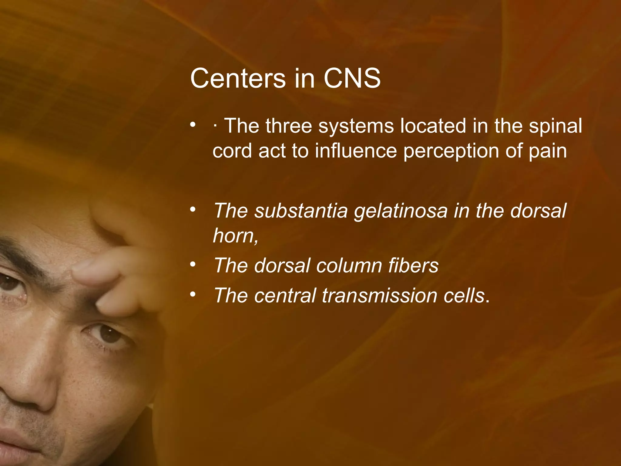 Pain gate theory | PPT