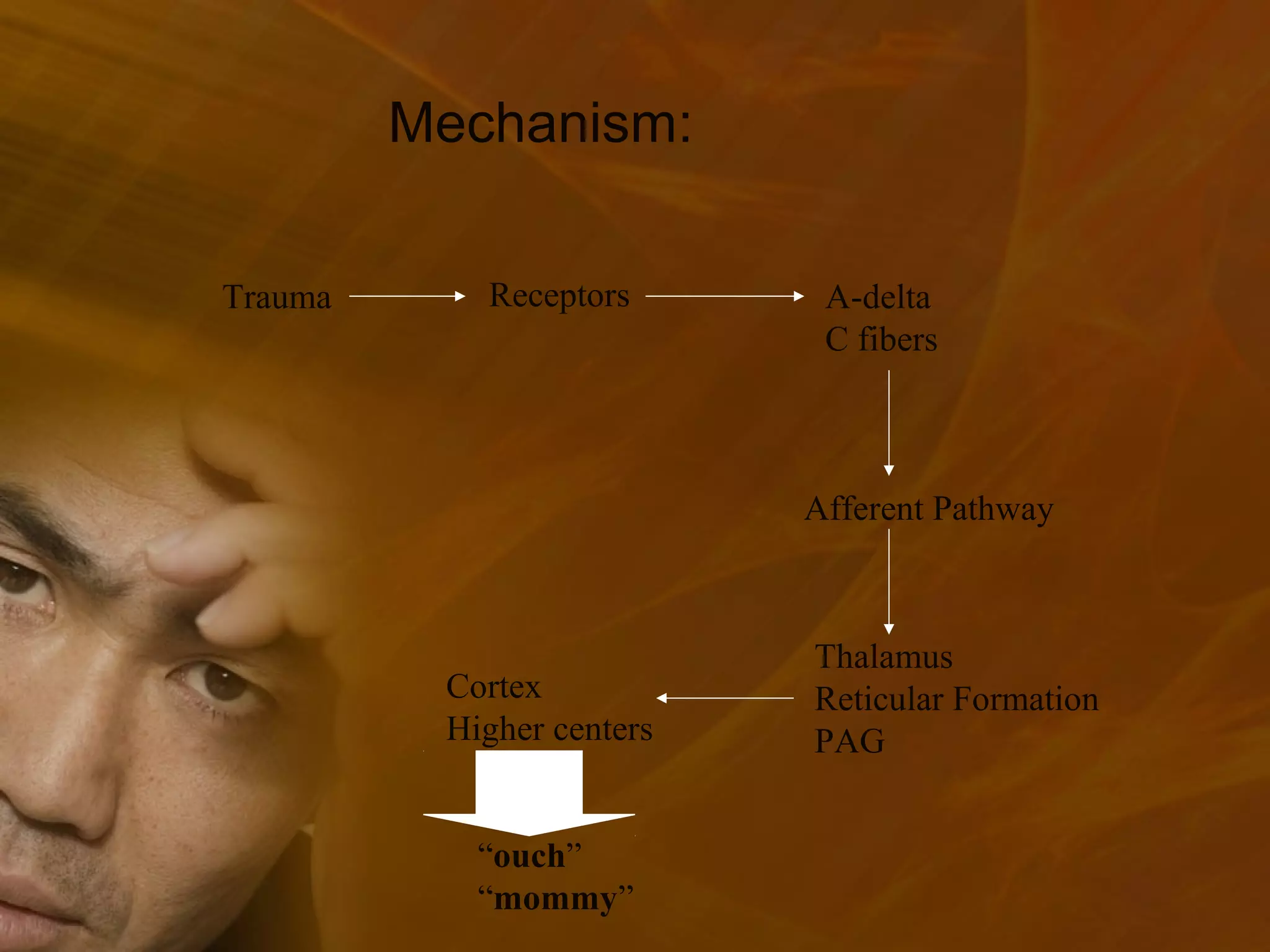 Pain gate theory | PPT