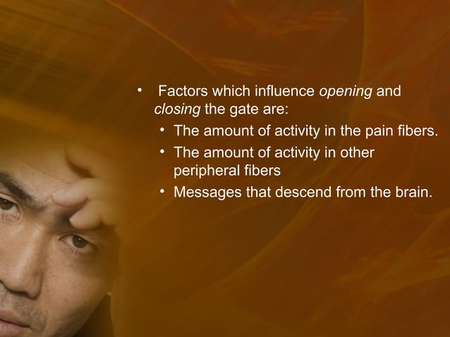 Pain gate theory | PPT