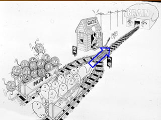 Pain gate theory | PPT