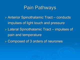 Pain and childbearing | PPT