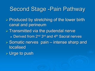 Pain and childbearing | PPT