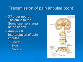 Pain and childbearing | PPT