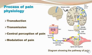 Pain induced from occlusal errors of removable prosthesis | PPTX