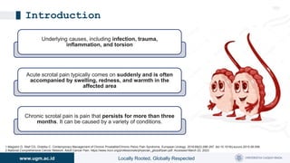 Pain in Urogenital track - dr.AHM.pptx
