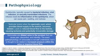 Pain in Urogenital track - dr.AHM.pptx