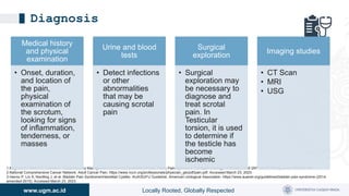 Pain in Urogenital track - dr.AHM.pptx
