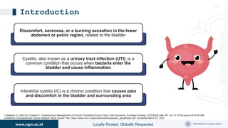 Pain in Urogenital track - dr.AHM.pptx