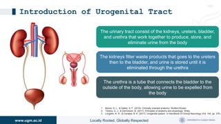 Pain in Urogenital track - dr.AHM.pptx