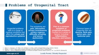 Pain in Urogenital track - dr.AHM.pptx