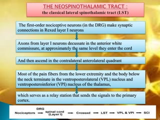 Pain and its pathways.Dr Ayesha Taha | PPTX