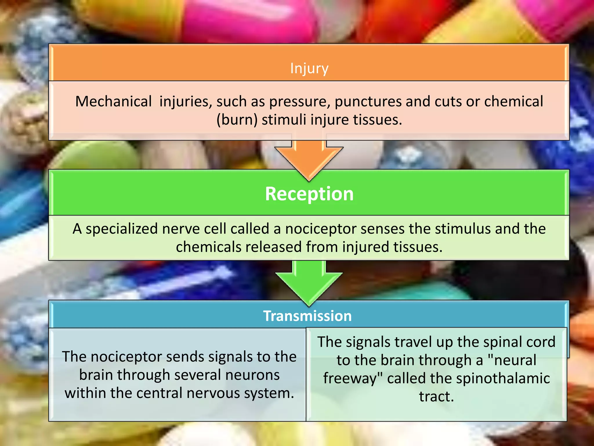 Painkiller (Analgesics) | PPTX